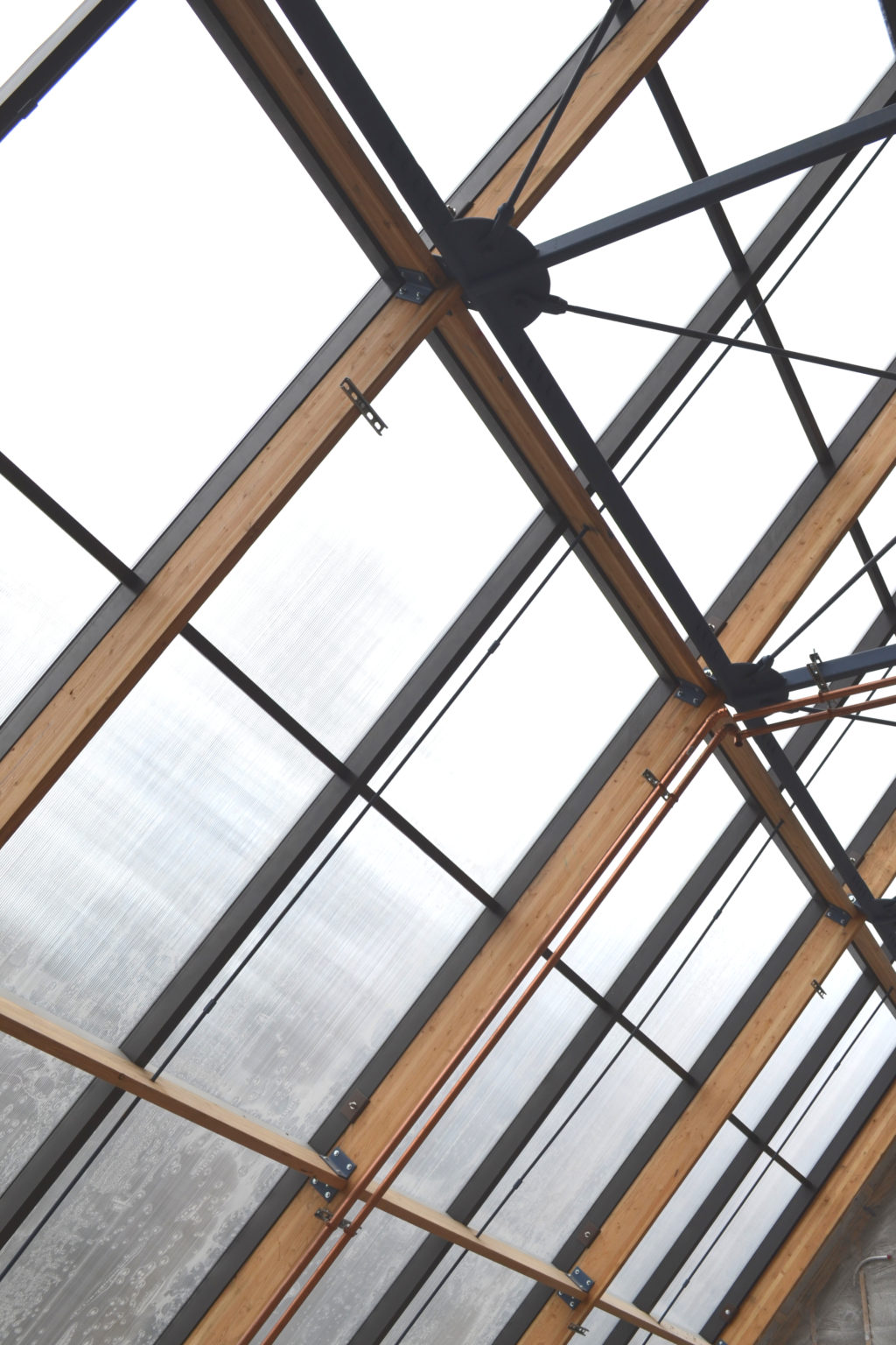 Greenfield Community College - Greenhouse - Next Phase Studios